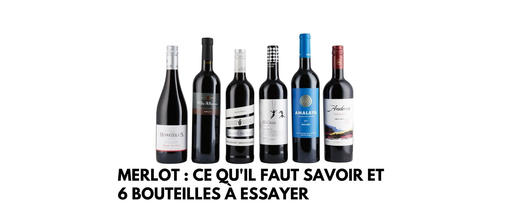Merlot : Ce qu'il Faut Savoir et 6 Bouteilles à Essayer | Univers Des ...